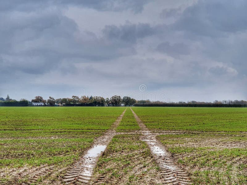 Leading lines in spring stock image. Image of leading - 177214615