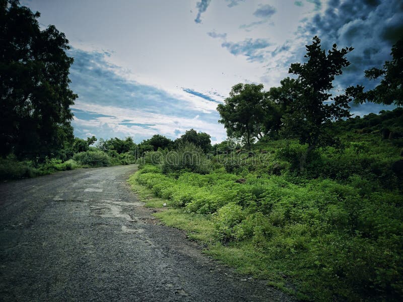 Leading Road with greenery stock image. Image of greenery - 197468235