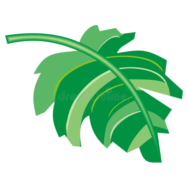 Stylized Green Leaf Stock Illustrations – 35,524 Stylized Green Leaf ...