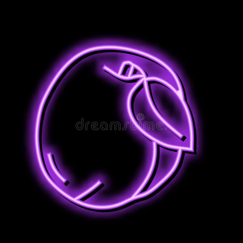 Leaf Apricot Fruit Neon Glow Icon Illustration Stock Vector ...