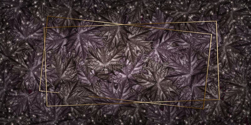 Leaf Background Text Frame Natural Background 3D Illustration Stock ...