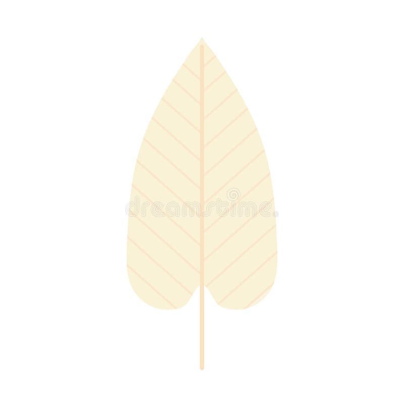 Leaf with a beige color stock vector. Illustration of drawing - 209631173