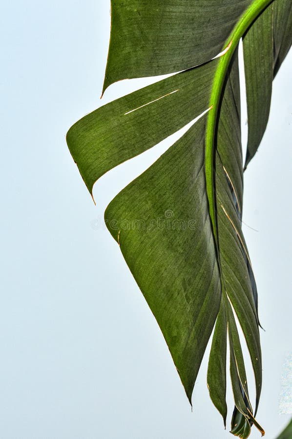 Paridise View Stock Photos - Free & Royalty-Free Stock Photos from ...