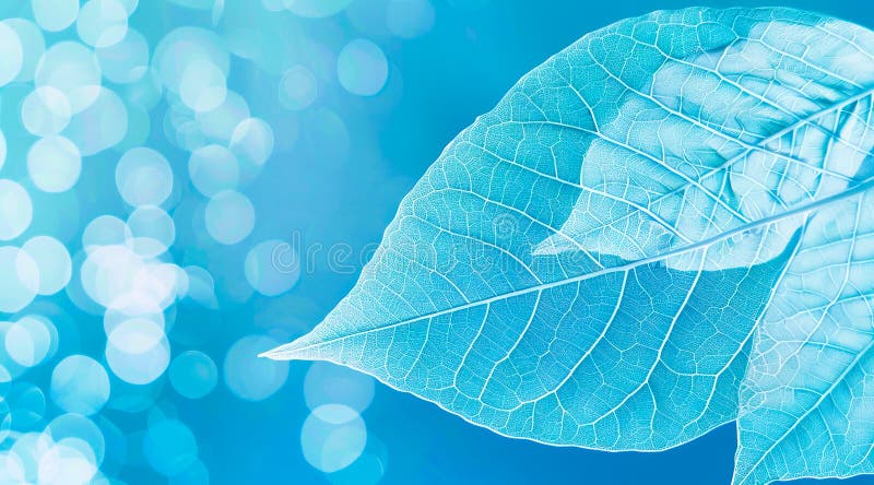 Leaf on a Blue Background. Concept of Soothing Serenity, Spring and ...