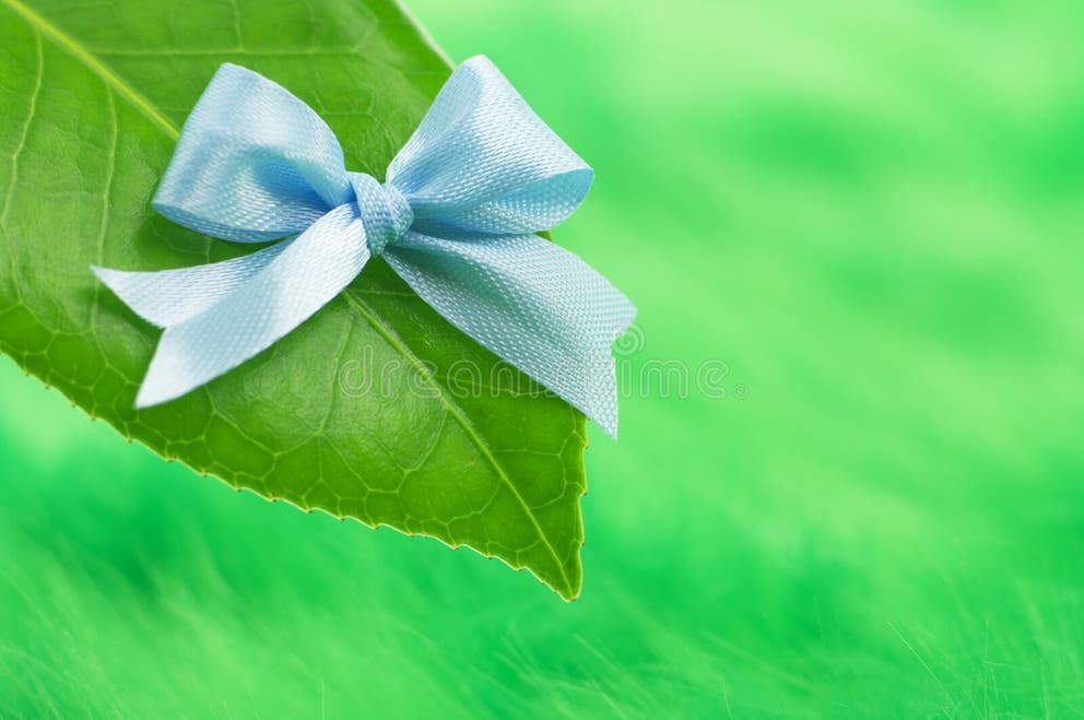 Leaf with blue ribon stock photo. Image of scene, stilllife - 22514468