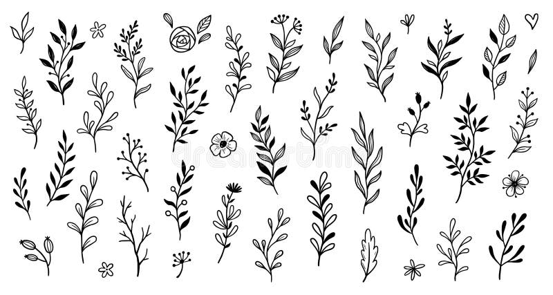 Rustic Branch Divider Stock Illustrations – 758 Rustic Branch Divider ...