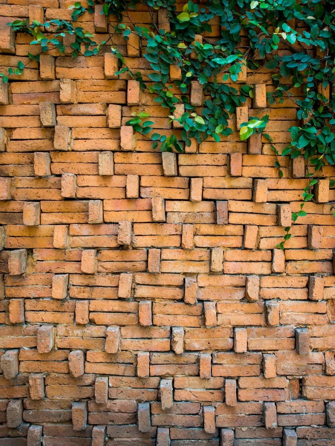 Leaf and brick backgound stock photo. Image of leaf, building - 50853630