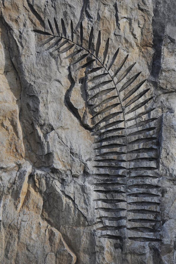 Leaf carved in a stone stock photo. Image of burned, brick - 22375062