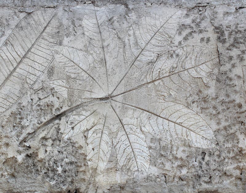 Cement Texture for a Background. Stock Photo - Image of tile, wall ...