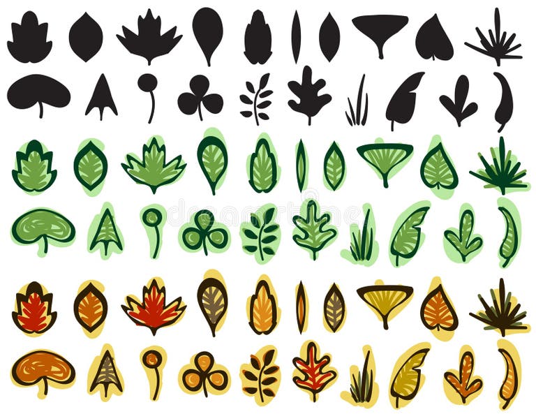 Assorted Leaf Shapes Stock Illustrations – 2,496 Assorted Leaf Shapes ...