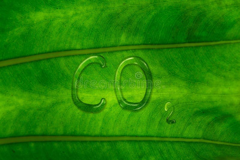 Leaf of a co2 symbol. stock photo. Image of business - 349914874