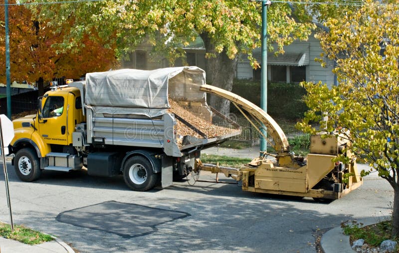 Leaf Collection stock image. Image of movement, autumn - 7148913