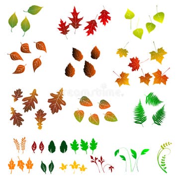 Leaf 2d Stock Illustrations – 7,185 Leaf 2d Stock Illustrations ...
