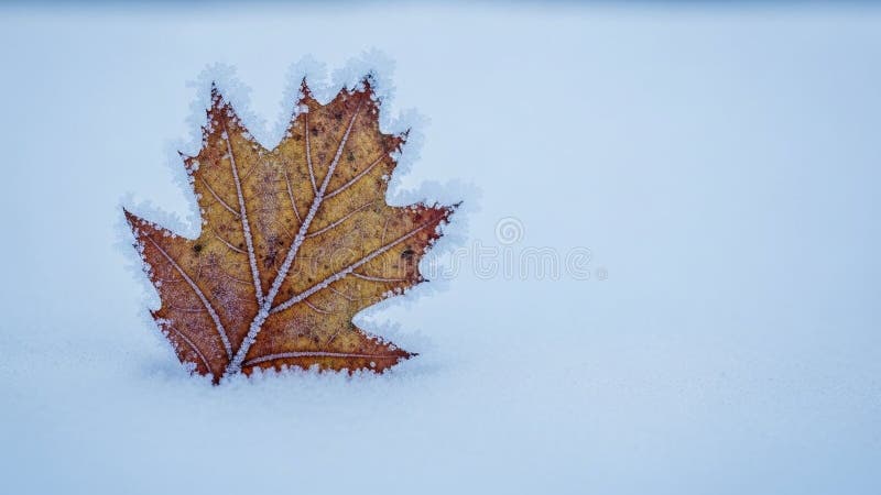 Cool Pristine Snow Stock Illustrations – 3,943 Cool Pristine Snow Stock ...