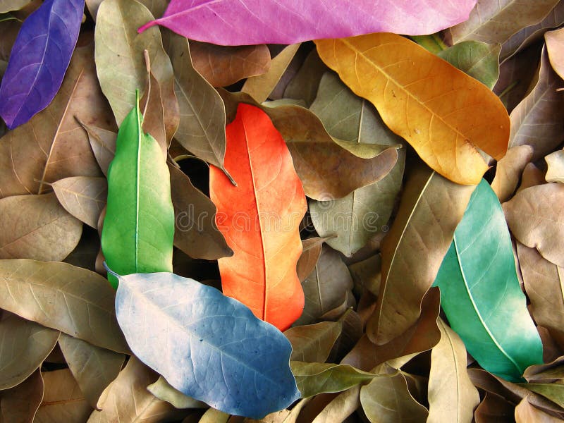 Leaf Colors stock illustration. Illustration of colors - 1585553