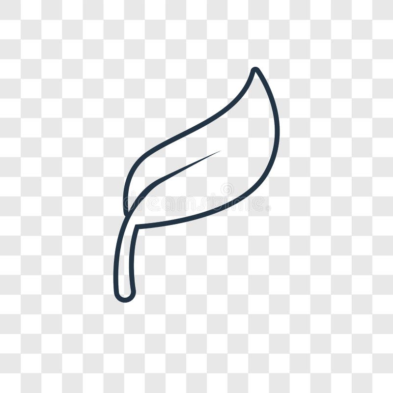 Leaf Concept Vector Linear Icon Isolated on Transparent Background ...