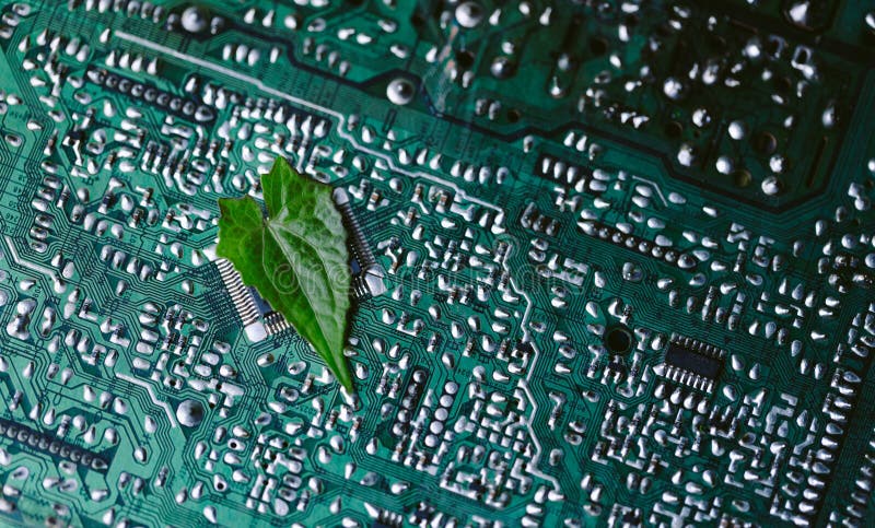 Circuit Board Green Leaf Stock Illustrations – 510 Circuit Board Green ...