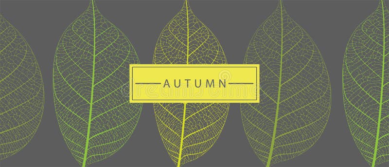 Leaf cover template stock vector. Illustration of decor - 126998512