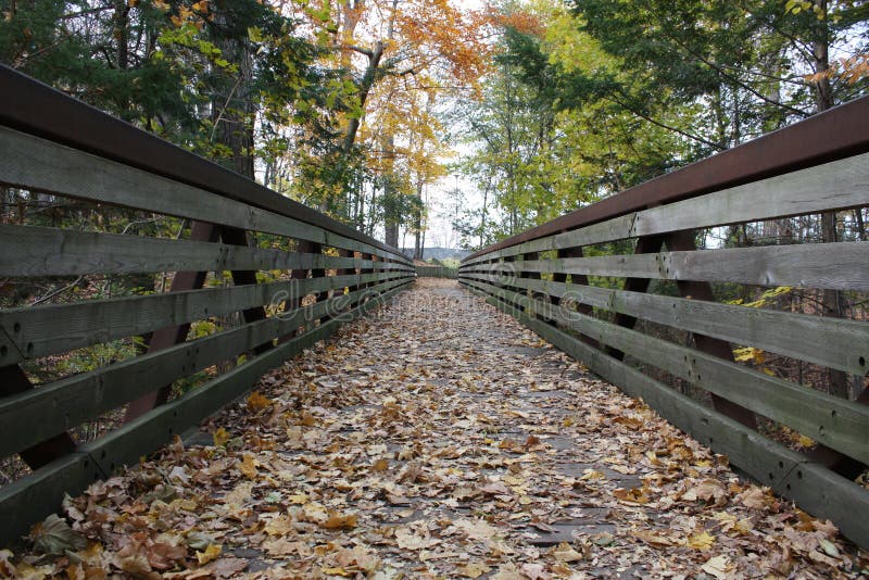 Leaf Covered Bridge in Autumn Stock Image - Image of leaf, forest: 21989875