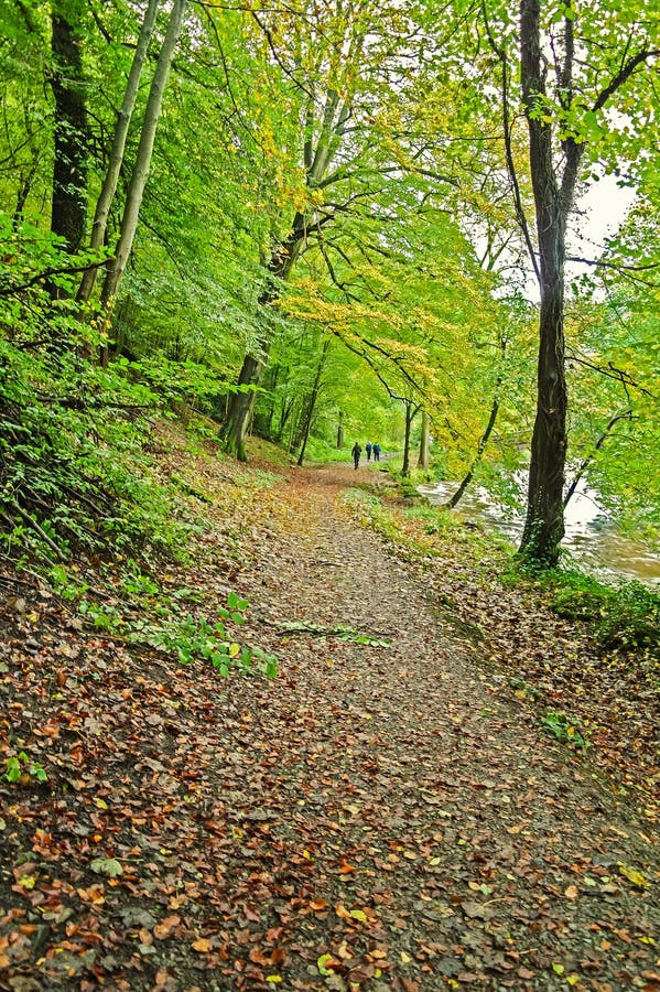 Leaf Covered Path in Early Autumn Stock Photo - Image of trees, wooded ...