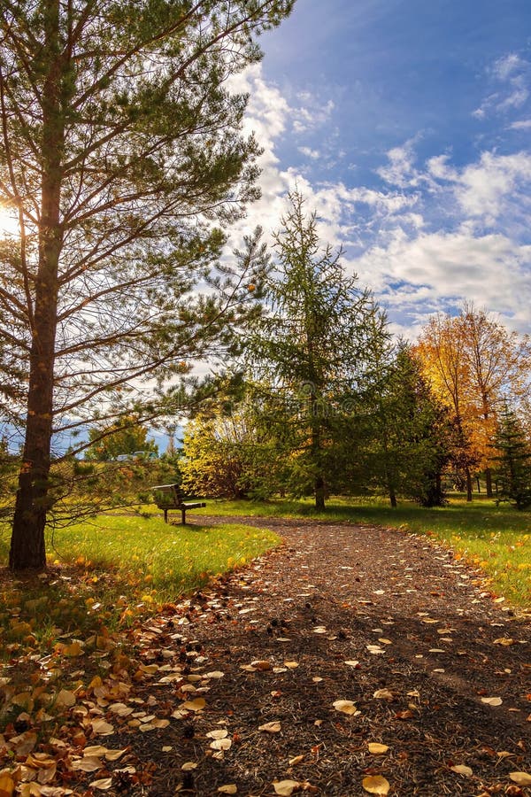 Leaf Covered Pathway in a Fall Park Stock Photo - Image of walkway ...
