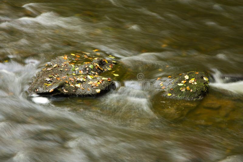 Leaf Covered Rocks in River Stock Photo - Image of float, blurred: 78969010
