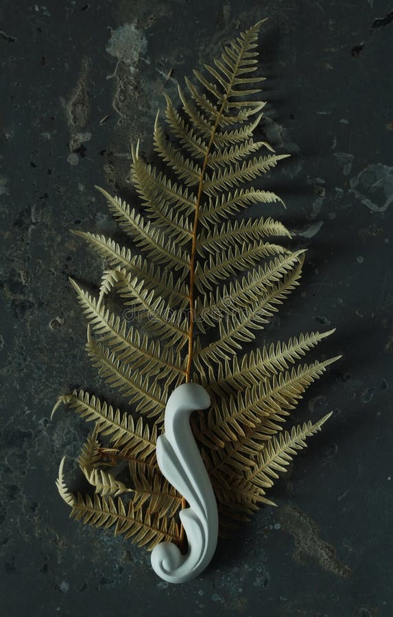 Leaf, Decor, Art, Interior Design Stock Photo - Image of pattern, frost ...