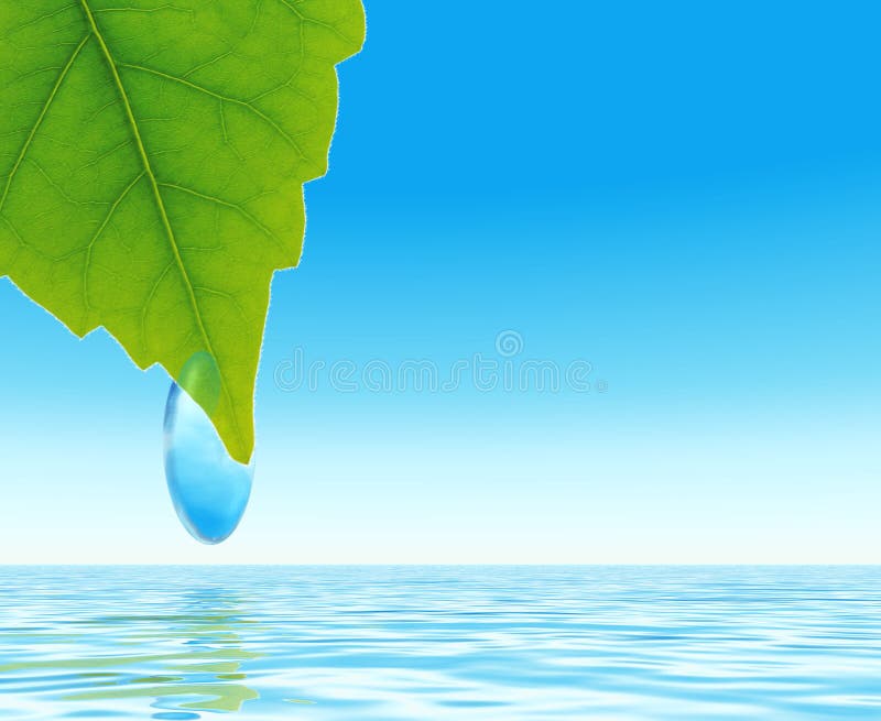 Leaf with the drop stock illustration. Illustration of plant - 3064491