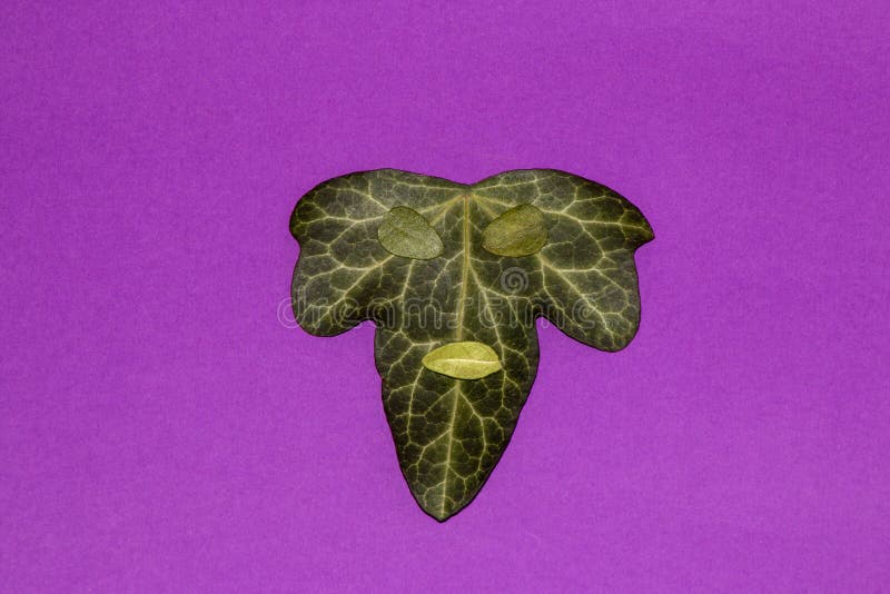 Leaf with Facial Expression, Creative Scary Background, Look Like ...