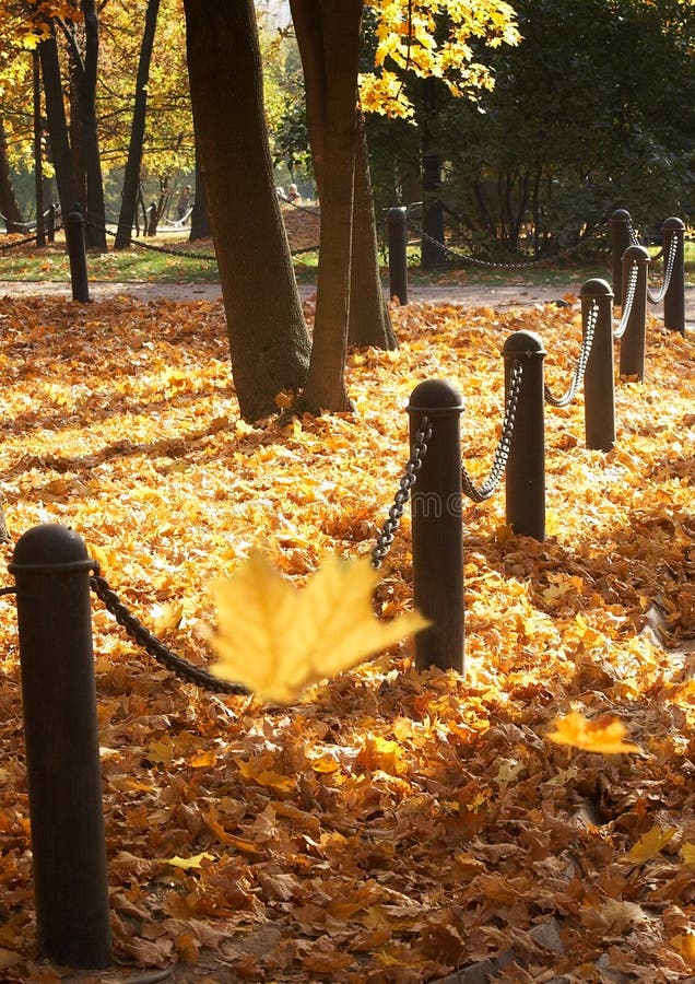 Leaf fall stock image. Image of vivid, autumn, pictorial - 278967