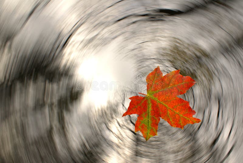 Leaf fall stock image. Image of grow, foliage, golden - 3578687