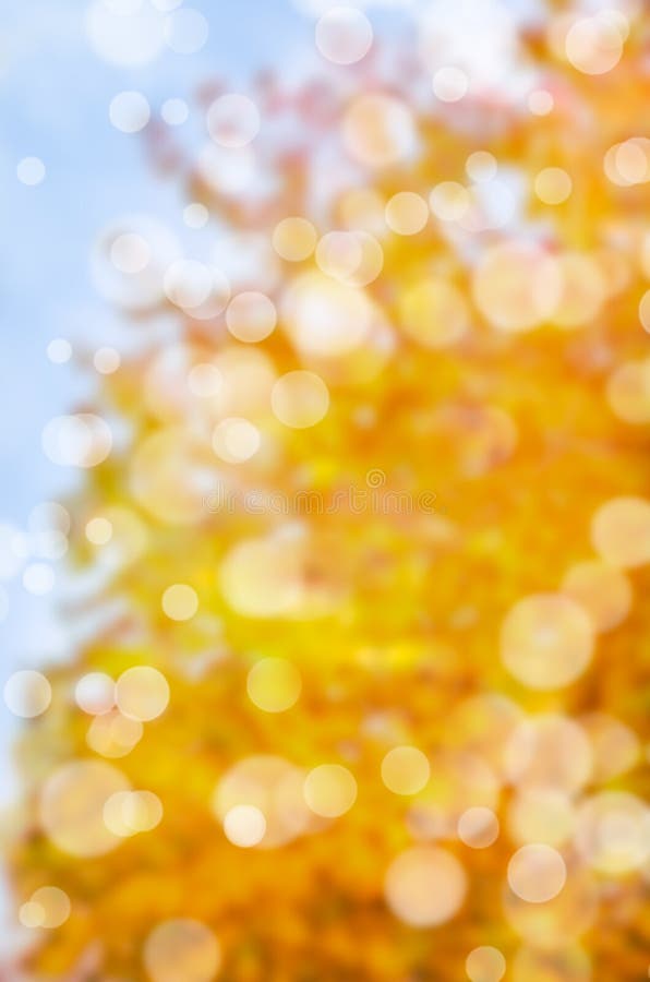 Leaf Fall Abstract Background Stock Photo - Image of clean, brightly ...