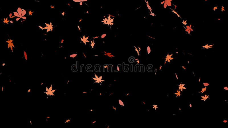 Leaf Fall Animation of Maple, Oakchestnut, Grape Leaves Falling with ...
