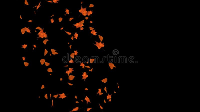 Leaf Fall Animation with Wind. Autumn Maple, Leaves Falling Loop 4k ...