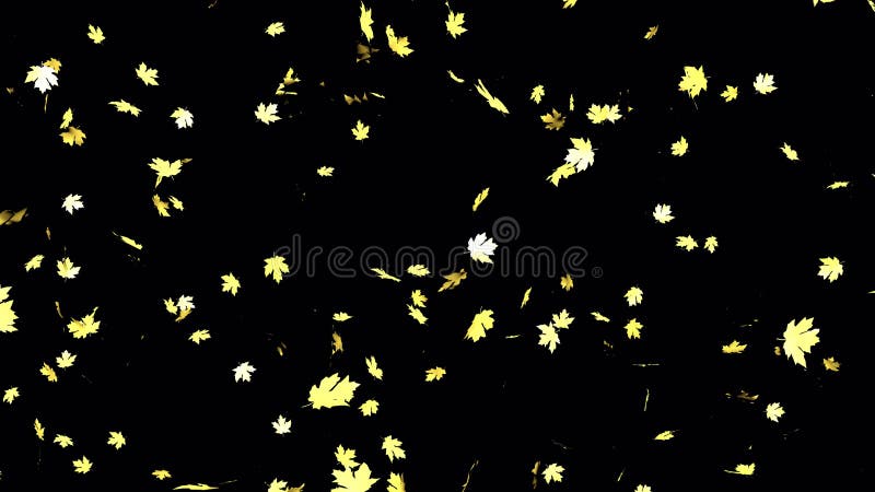 Leaf Fall Animation with Wind. Leaves Falling Effect on Transparent ...