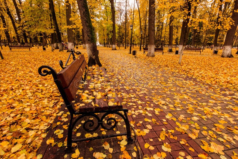 Leaf Fall in the Park in Autumn with Bench Stock Photo - Image of ...