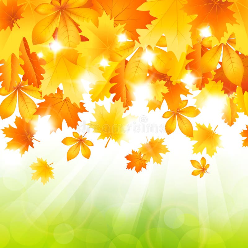 Leaf fall stock vector. Illustration of autumn, vector - 33381979