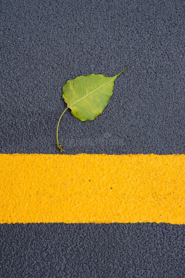 Leaf fall on walkway stock photo. Image of street, sign - 59394624