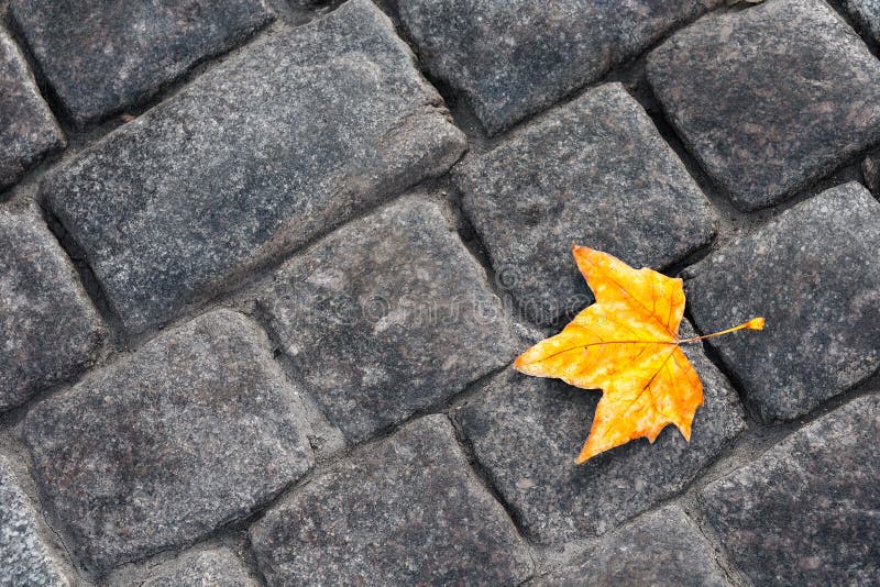 Leaf Fall. Yellow Leaf. Autumn. Paving Stone Background Stock Image ...