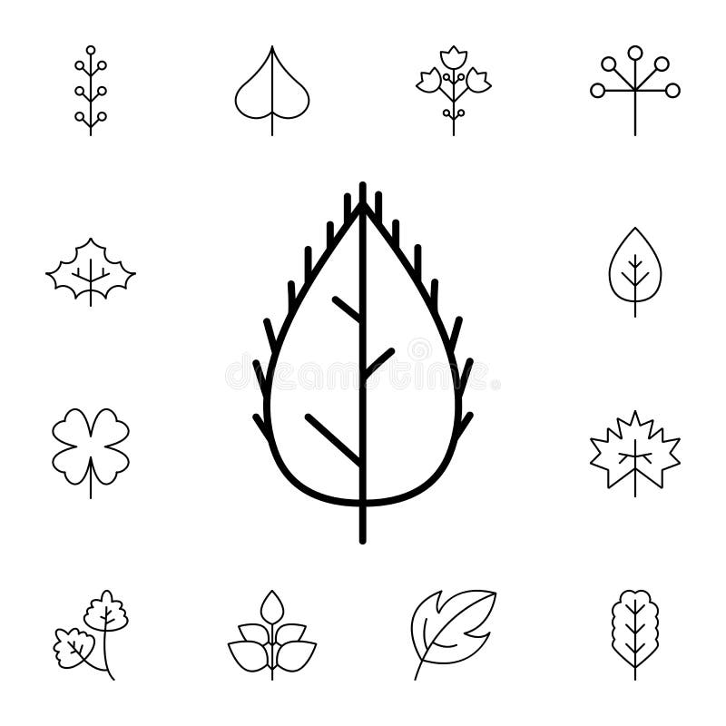 Leaf Flat Vector Icon in Leaves Pack Stock Illustration - Illustration ...