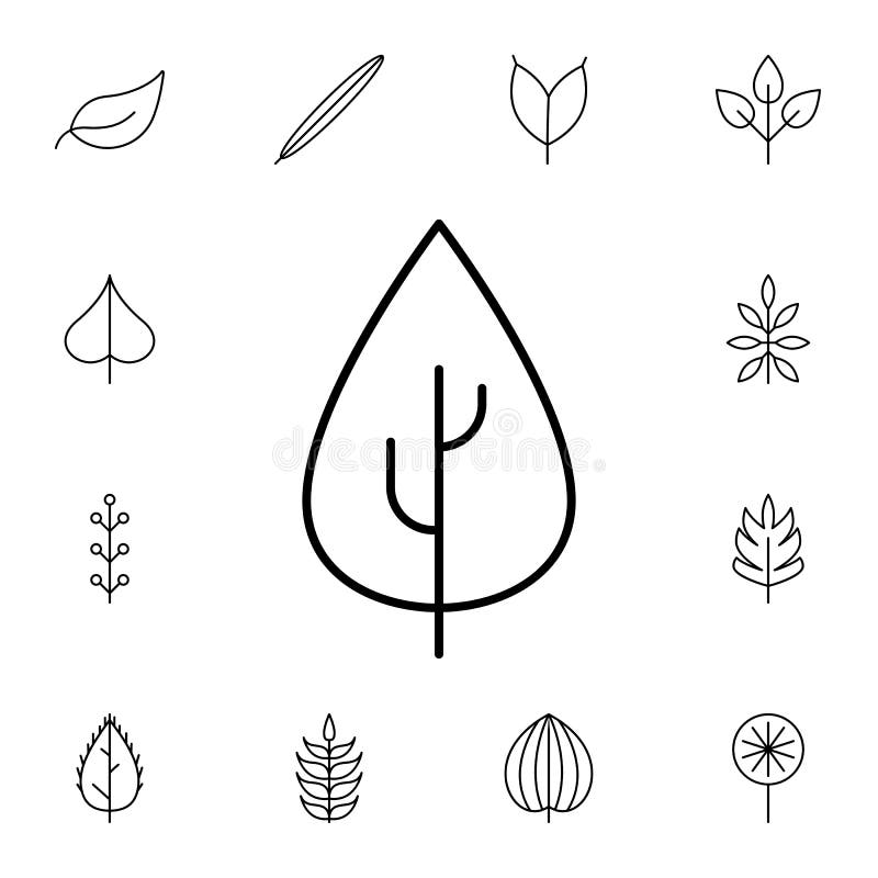 Leaf Flat Vector Icon in Leaves Pack Stock Illustration - Illustration ...