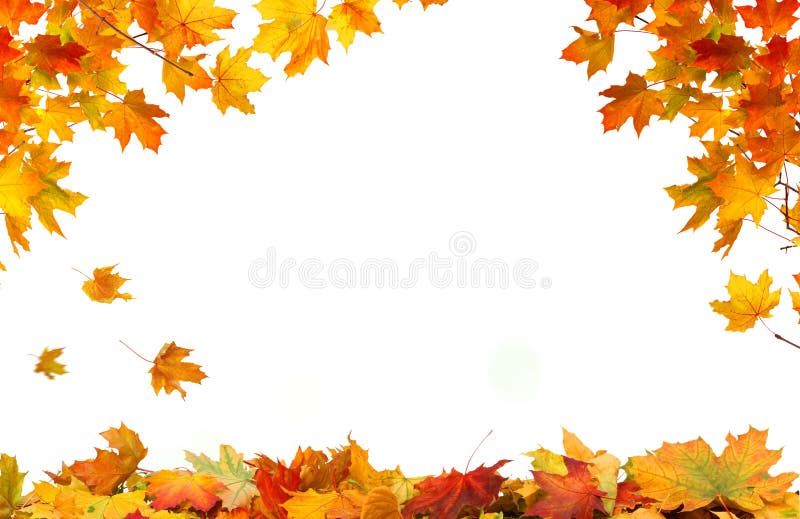 Leaf Frame. Autumn Maple Leaves Isolated on White Background. Fall ...