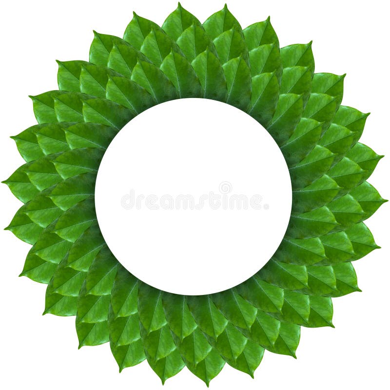 Leaf Frame Circle Layout for Decoration Stock Illustration ...