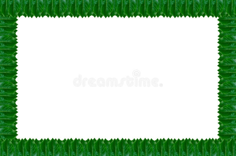 Leaf frame three stock photo. Image of organic, color - 56922206