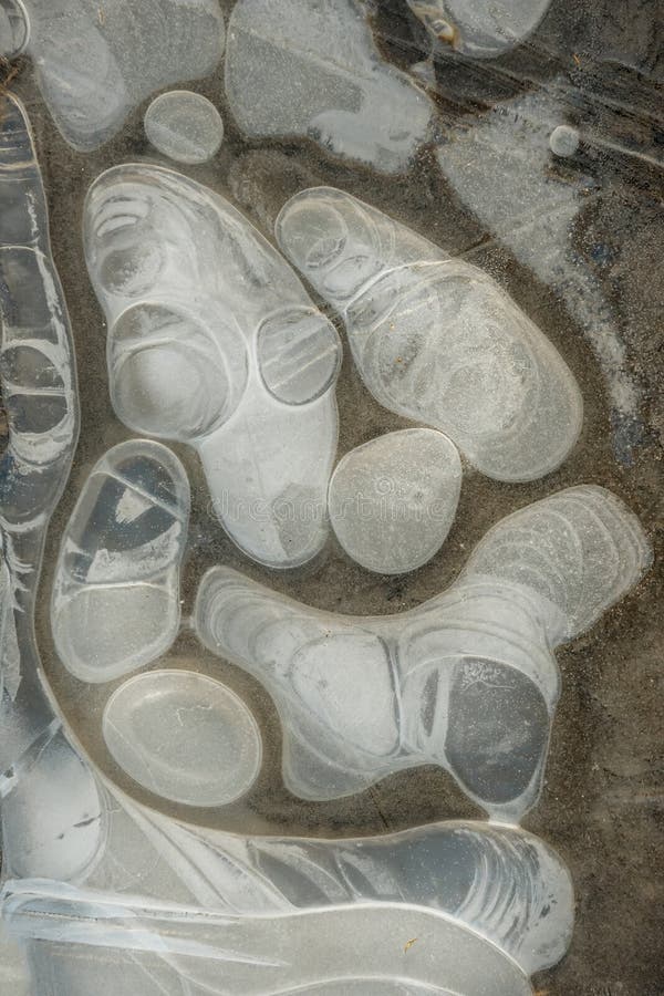 Leaf frozen stock photo. Image of weave, cold, shadow - 252868488