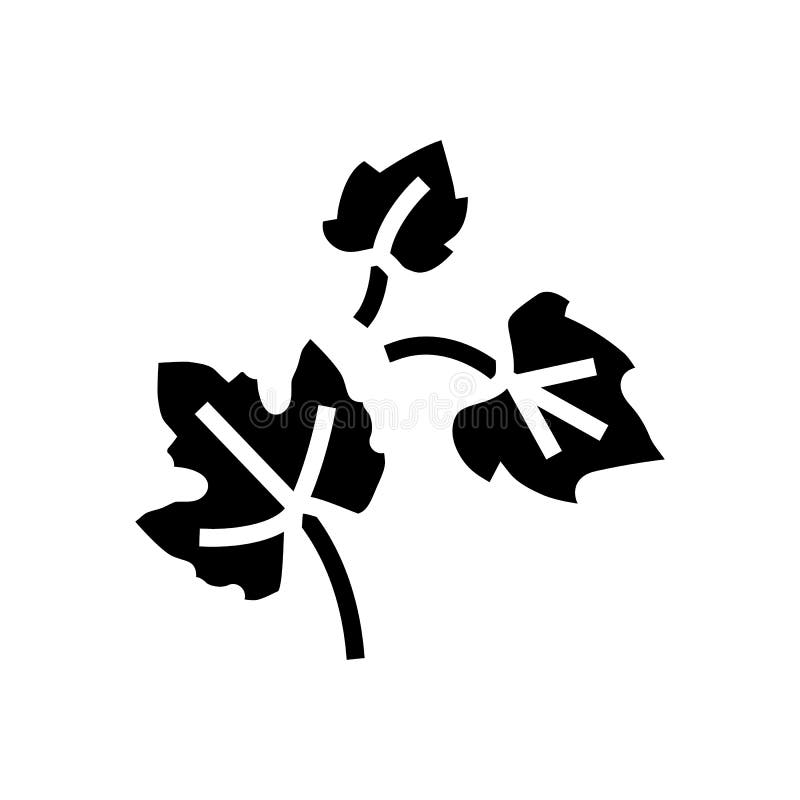 Leaf Grape Green Glyph Icon Vector Illustration Stock Illustration ...