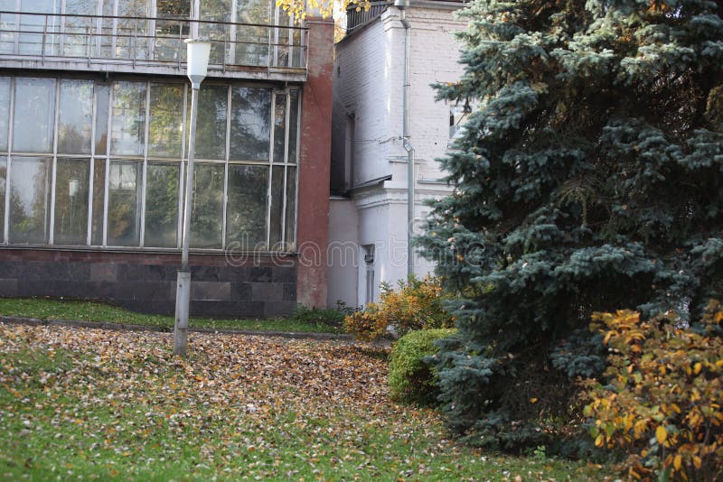 Ghbhjlf Photos - Free & Royalty-Free Stock Photos from Dreamstime