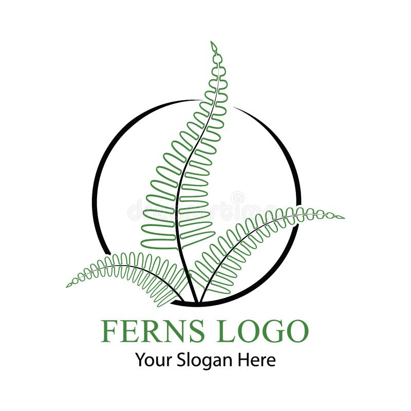 Leaf of a Green Fern Logo Vector Stock Vector - Illustration of ...