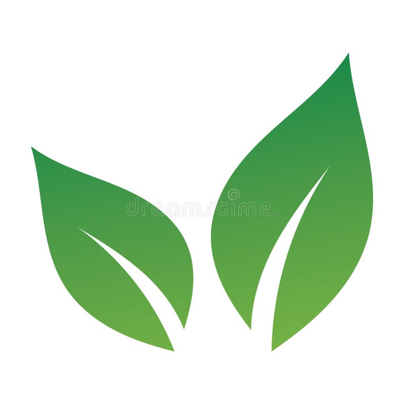 Leaf Green Logo and Symbol Vector Stock Illustration - Illustration of ...