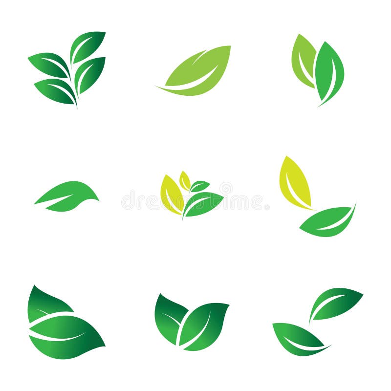 Leaf stock vector. Illustration of green, tree, silhouette - 211668481